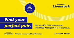 🌟 The Perfect Pair for Tagging Sheep 🌟 Say goodbye to long tagging sessions and complicated processes! Our ultimate sheep tag pairing range makes tagging faster, easier, and more efficient: ⏱️ TagFaster – Simplify and speed up your tagging process! This plier reduces the need for extra workers and minimizes mistakes. With faster tagging, you can handle more animals in less time, cutting down on labour and boosting productivity. 🐑 Z Tags for Sheep – Quick, efficient, and stress-free sheep tagg