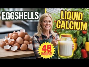 I Turned Eggshells Into Liquid Calcium in 48 Hours!