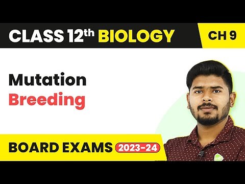 Class 12 Biology Ch 9 | Mutation Breeding - Strategies for Enhancement in Food Production 2022-23