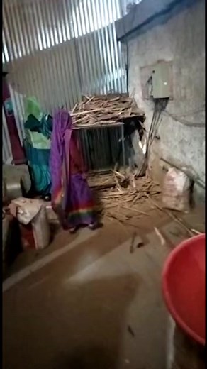 Wood Grinding machine, Wood powder machine 📲📞☎️ 91 89628 26650 | Punjab Engineering Corporation