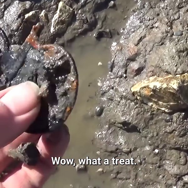 Finding an Early 18th-Century Armorial Pipe