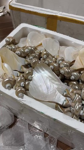 1.5M views · 9.8K reactions | #shelter #Tableware #highlightseveryone #highlights #highlightsシ゚ #purehandmade #handmade #trendingreelsvideo | Naresh Vibes | Facebook