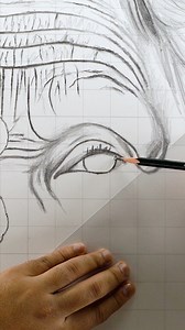 19K views · 392 reactions | How I Start a Hyper Realistic Portrait. Tags:#artbyalihaider #alihaiderrehman #hyperrealistic #hyperrealism #hyperrealisticart #hyperrealismmasters #hyperrealisticdrawing #artist #artistic #artsy #artgallery #sketch #sketchbook #sketching #sketchup #drawing #outline #asmrart #asmrdrawing #trick #technique | Art by Ali Haider | Facebook