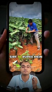 Taro chips complete business guide #businessideas | Growithanimesh