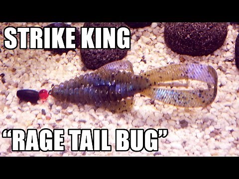 Strike King: Rage Tail Bug! Lure action on a Texas Rig! Underwater! Full HD