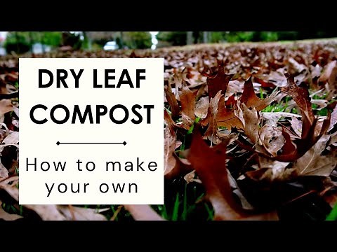 How to make DRY LEAF COMPOST - using fallen autumn/fall leaves to create leaf mold compost at home