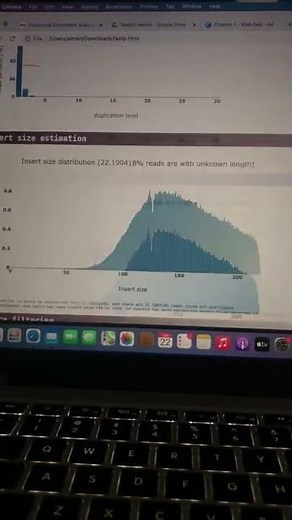 What is the purpose of Fastp Report?