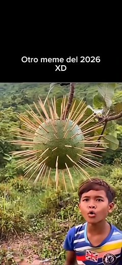 Oi oi oi eye eye meme. Hello meme #viral #memes #humor