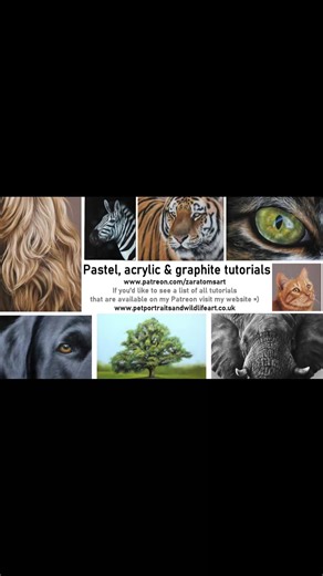 13K views · 263 reactions | Drawing baby birds with the down feathers...