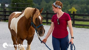 Yesterday, Callie shared how to better understand what a horse may be feeling from body expression and posture clues. You can read the full blog here: https://www.horseclass.com/blog/what-is-your-horse-thinking-how-to-read-horse-body-language/ But what message is our own body language broadcasting to the horse? Horses do almost all of their communication through non-verbal means. So to be effective in our communication we have to be more aware of our non-verbal expressions, including personal sp