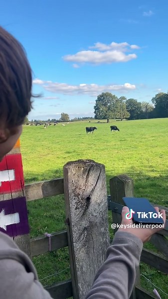 Testing If Cows Love Jazz Music: An Experiment | TikTok