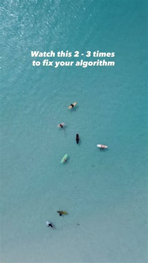 Maverick Mitchell on Instagram: "Bliss 🐬✨ #algo #surf #bliss #dolphines"