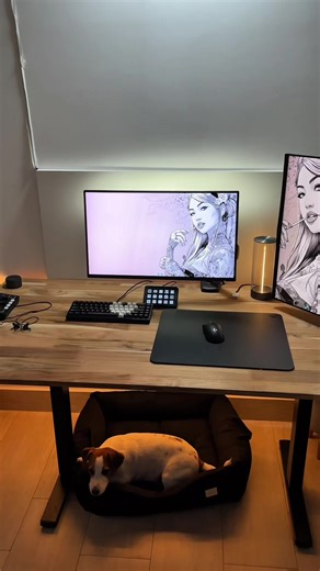 Transform Your Desk Setup with Pet-Friendly Tech Tips