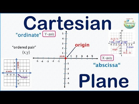 Understanding the Cartesian Plane | From Axes to Coordinates
