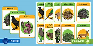 Fauna and Flora of the Fynbos Biome Flashcards