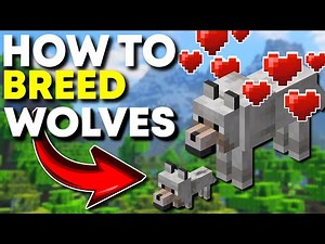 How to BREED Wolves and Dogs in Minecraft (All Versions)