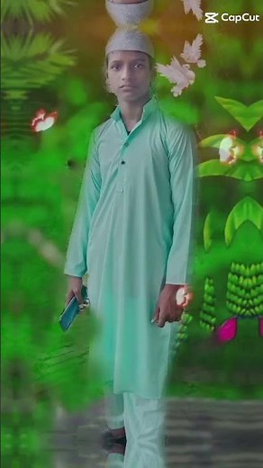 facebook live stream