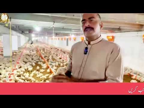 Practical Anatomy of Birds: Hands-On Observation | Exploring Birds observation