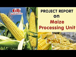 Maize Processing Unit - Project Report - DPR