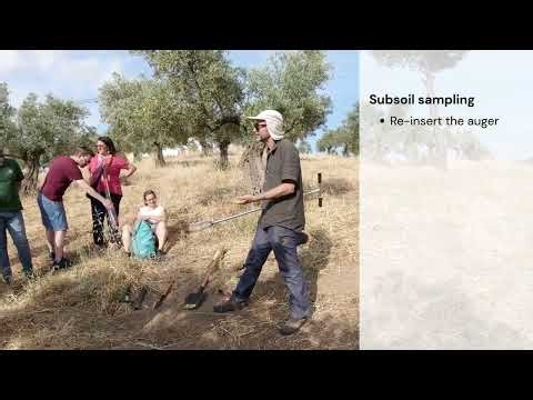 Soil Sampling Procedure