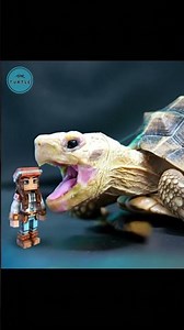 THIS HUNGRY TURTLE ENJOYS A CRUNCHY MINECRAFT CHARACTER MEAL #ASMR #Gaming