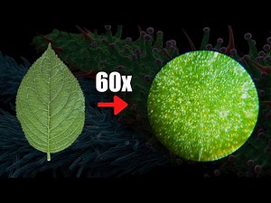 VENDO COISAS NUM MICROSCÓPIO BARATO