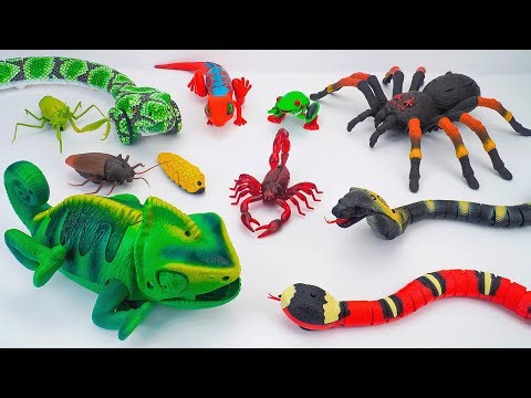Ultimate ZURU Robo Alive Insects ASMR 🦎 Robo Chameleon & RC Naja Cobra Snake (No Talking)