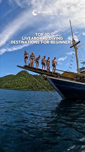 Bluewater Dive Travel | 🐋 Our top 10 liveaboard destinations for beginner scuba divers! Are you a new diver who’s caught the scuba diving bug and is itching to... | Instagram