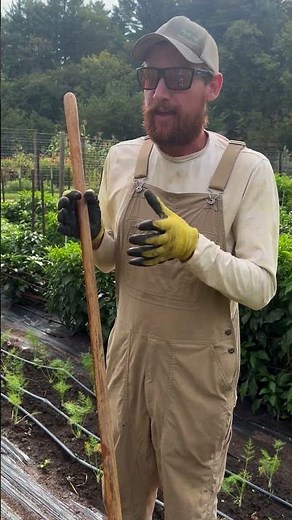 How to Use a Collinear Hoe