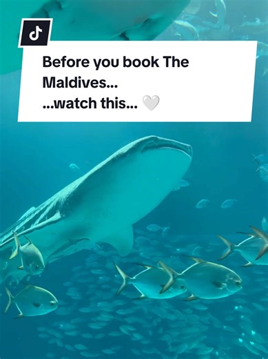 Top Tips for Snorkeling in the Maldives Before Booking