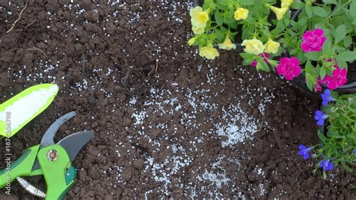 Zoom in ammonium nitrate balls Gardening tools: shovel, pruning shears, soil fertilizers, planting plants, flowers, vegetables in ground. Spring garden, green color, saltpeter, magnesium, nitrogen