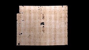 18K views · 226 reactions | At The Hague there are thousands of...