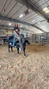 Triple Aught with Addi vs. Triple Aught at the PBR #bullriding #pbr #justagirlandherbull #rodeo #leaddontfollow CINCH JEANS | Nothin' But Try Ranch and Event Center