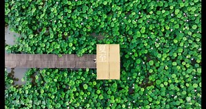 This year, from the city to the #countryside, we inhabit poetically in the rotation of solar terms, with 84 shots condensing the 24 solar terms of the star city of Changsha. More and more screenshots are hidden in the lens of Changsha people’s everyday life! #hichangsha | ChangshaCity