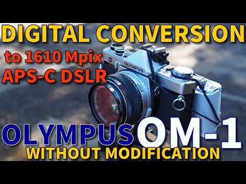 OLYMPUS OM-1 with digital back /Convert Film SLR to APS-C DSLR without modification! / Photo review