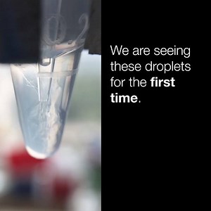 25K views · 613 reactions | New research shows how proteins form...