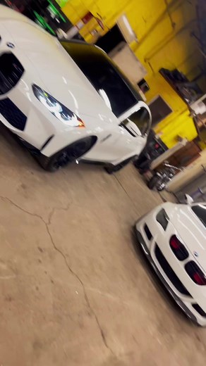 BMW M Series Showcase: Performance and Style