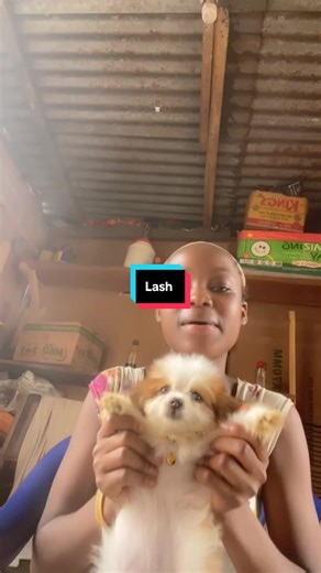 DIY Lash Extension Tutorial for Beginners