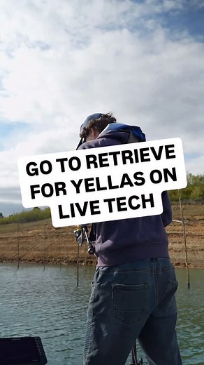 2.9K views · 130 reactions | A tapping or shaking retrieve while continuing to slowly move your plastic - is one of the best ways to catch yellas on live tech (Forward Facing Sonar) #socialfishing | Social Fishing | Facebook