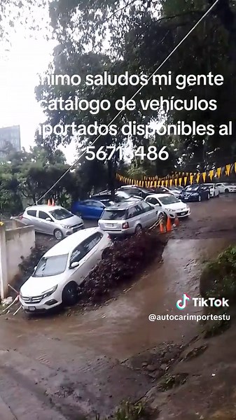 autocarimportEstuardo! on TikTok