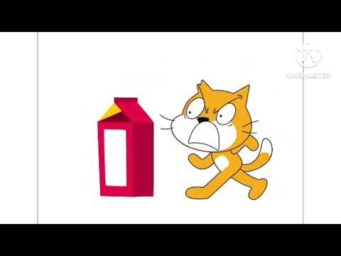 scratch cat 3.0 show