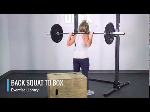Back Squat to Box - OPEX Exercise Library