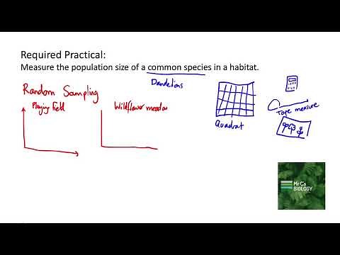 Measuring Population Size: Random Sampling (AQA Biology Required Practical)