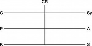 Expressive therapies continuum - Alchetron, the free social encyclopedia