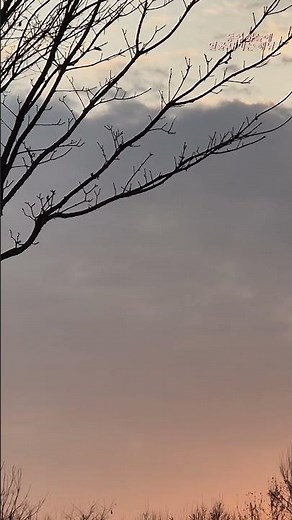 Wake Me Upㆍ 2CELLOS Luka Sulic and Stjepan Hauserㆍ Avicii