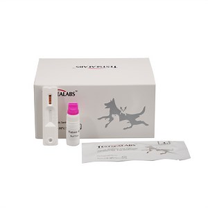 [Hot Item] Testsealabs Rabies Antibody Test For Pet Diagnosis