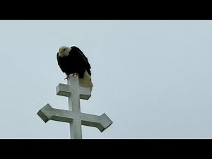 Dutch Harbor UnAlaska