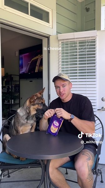 5 Fun Taste Testing Foods for Puppies!