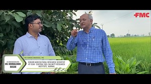 9.2K views · 478 reactions | Dear Audience, Nutrition Management is very important for Plant Growth. Plant nutrition management thus assumes a great role in the success of your cultivation. Let's understand more in this webinar on Importance of 4R of Nutrient Management with Mr. Nirmalendu Basak, Senior Scientist at ICAR, Karnal, moderated by our senior leader at FMC, Mr. Bakul Joshi. #FMC #FMCIndia #vriddhi #CropNutrition | FMC India | Facebook