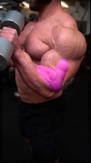 10K reactions · 35 comments | Zottman Curls 欄 ---------------------------------- Check out my #musclebuilding training programs, link  Bio | Petar Klančir IFBB Pro | Facebook